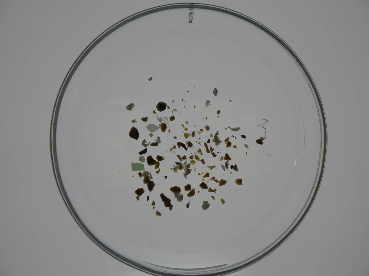 MOL & Miura to Conduct Demonstration Test with Microplastic Collection ...